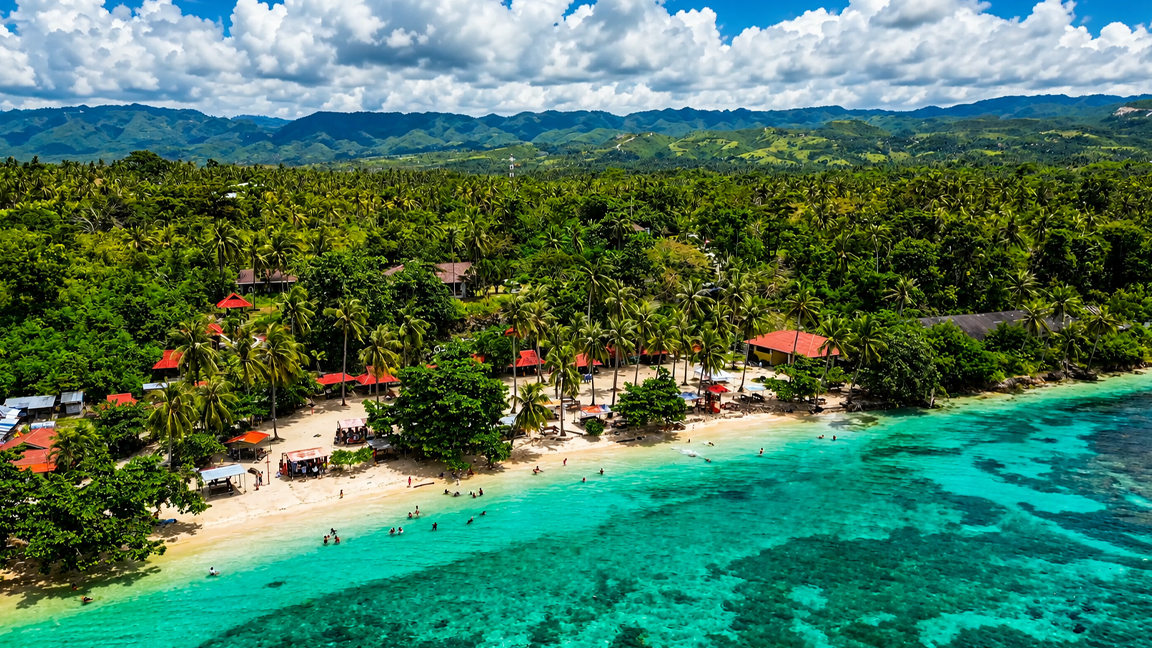 Tropical beach hidden behind endless palm trees