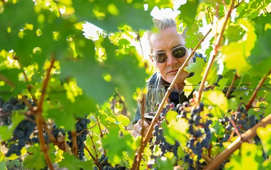 Walla Walla wine, history and charm collide