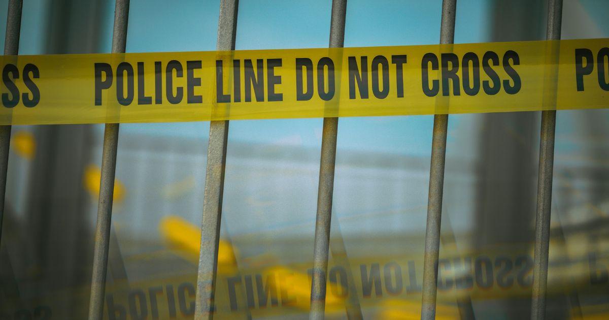 Georgia mom shot dead in front of 7-month-old baby; suspect turns gun ...