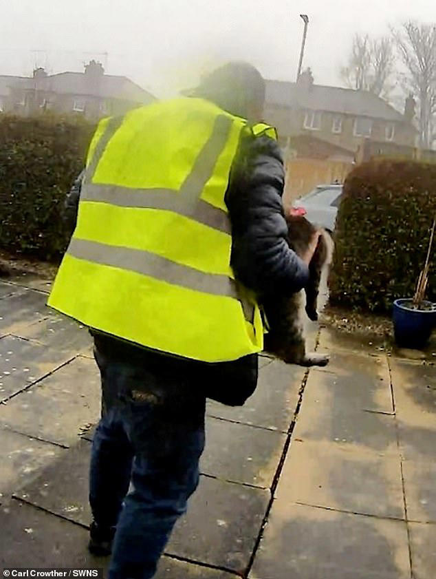 Amazon driver caught on Ring doorbell stealing family's cat while ...
