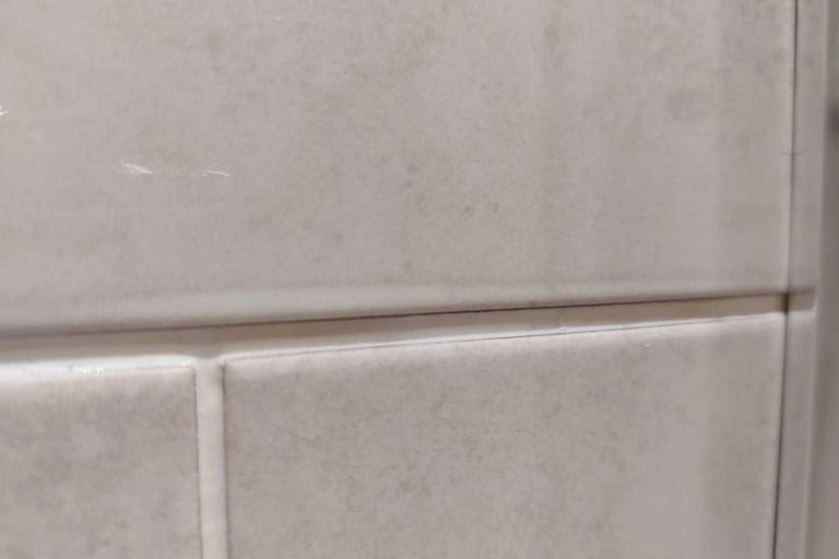 Best product to remove grout mould - HG, Astonish and Mould Magic tested
