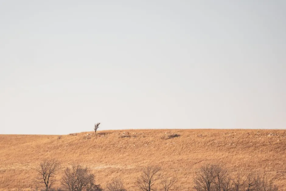 A massive underground aquifer is drying up: 6 states are running out of ...