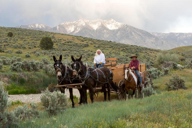 Humans riding horses 1,000 years earlier than previously thought