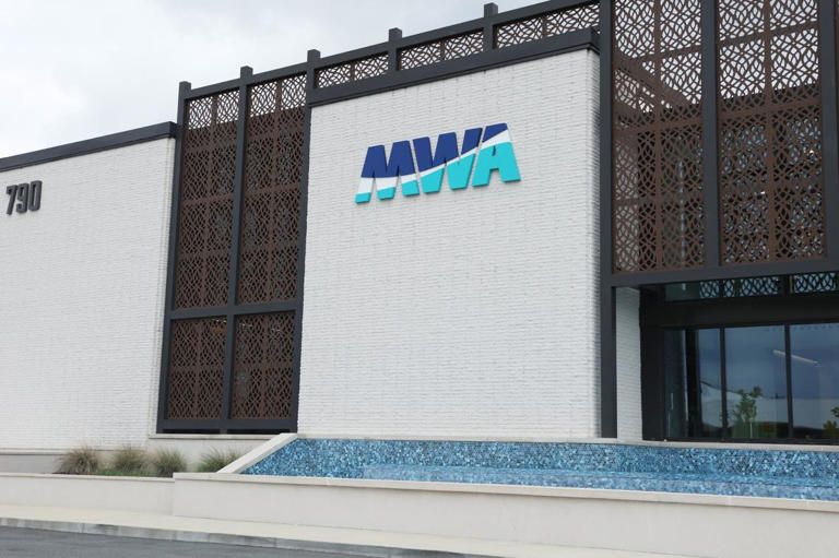 Meet the candidates for Macon Water Authority's contested races