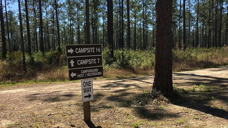 Just outside Jacksonville is a Florida state forest with RV camping ...