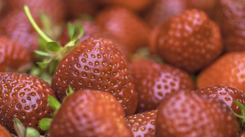 15 things you didn't know about strawberries