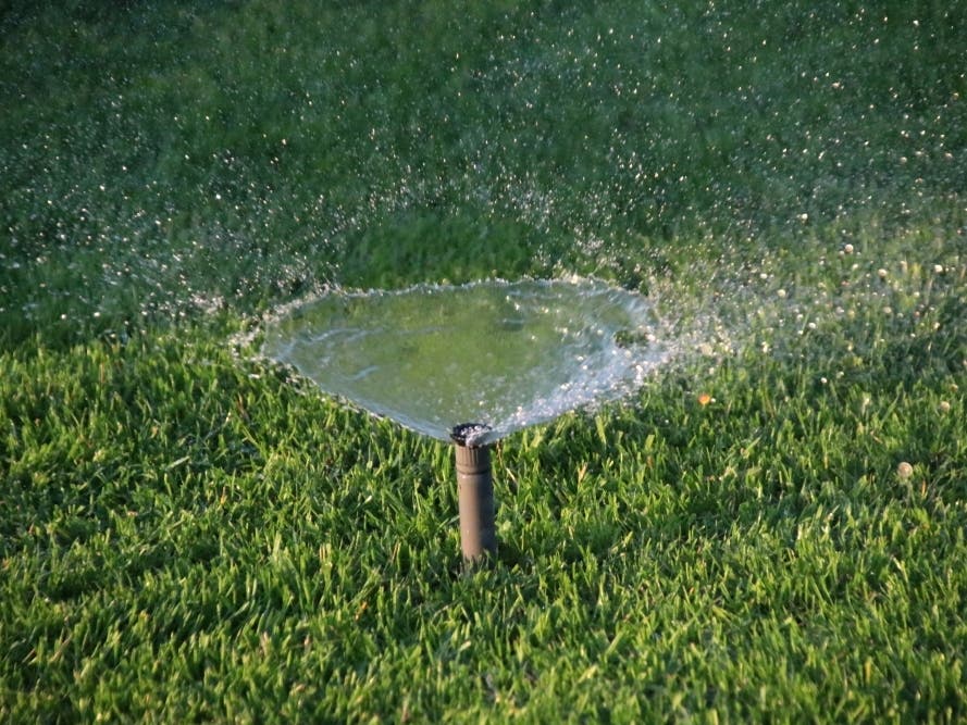 Wayland bans outdoor water use amid treatment plant issue