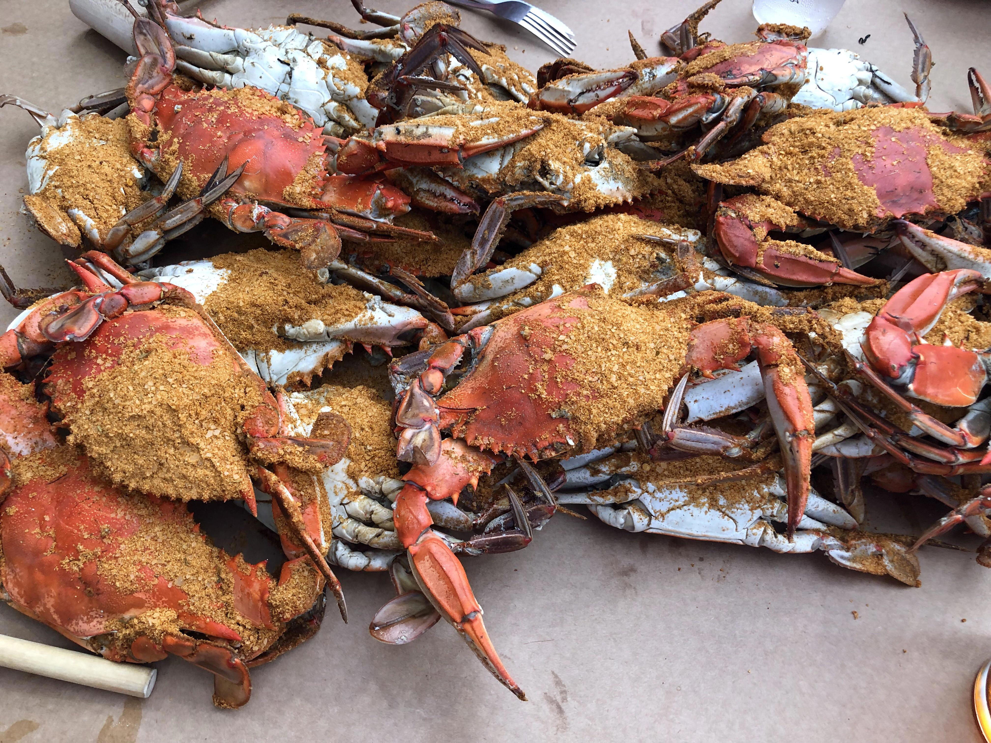 17 of the best destinations for seafood lovers
