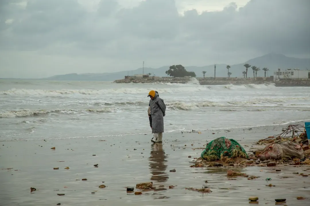 I moved to a low-risk climate zone and hated it - 11 hidden risks I ...