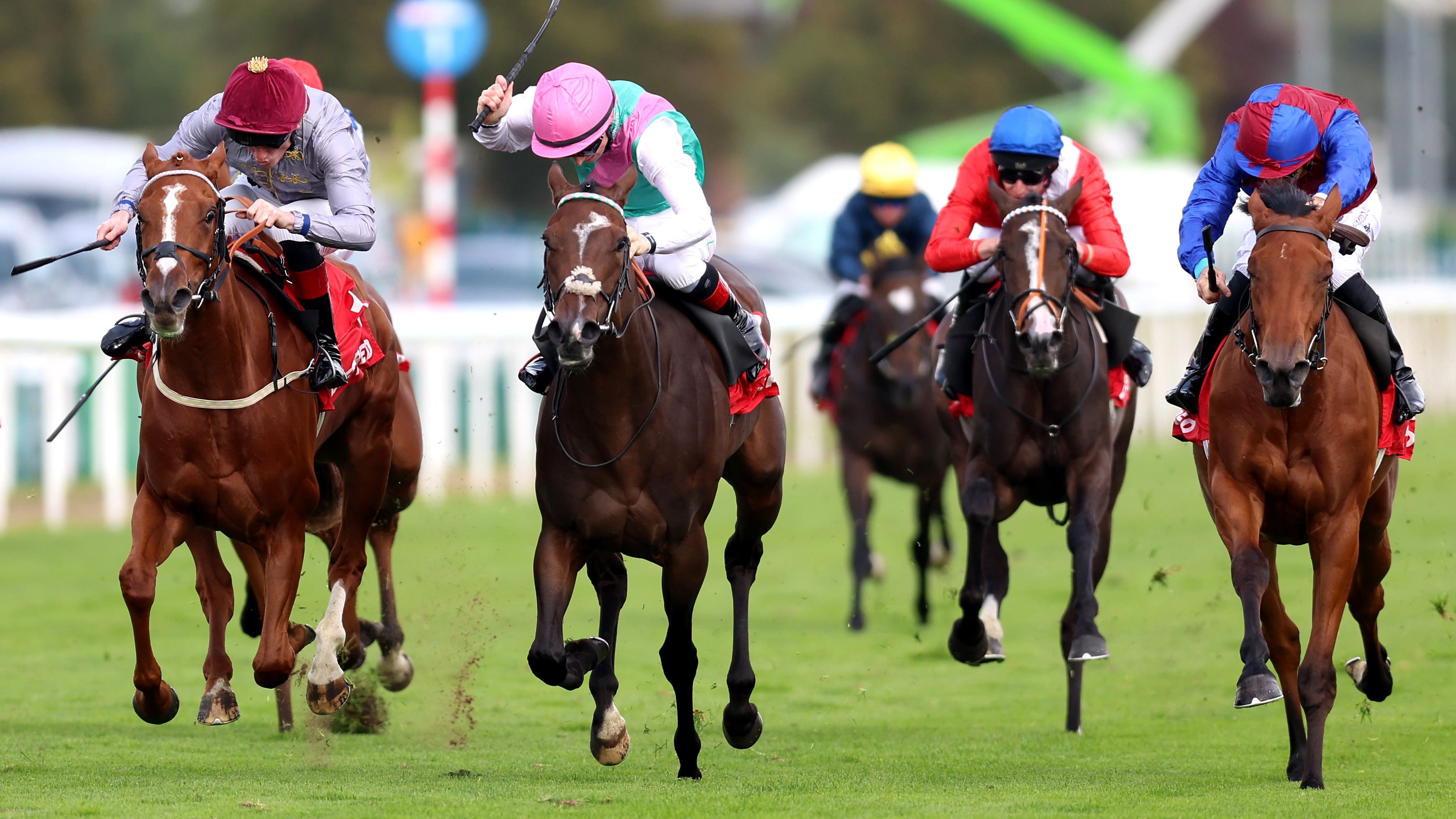 Pacific Mission poised for competitive Knavesmire clash