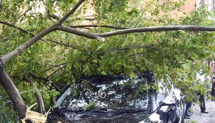 100 dead as deadly storms and lightning ravage Uttar Pradesh; Russian ...