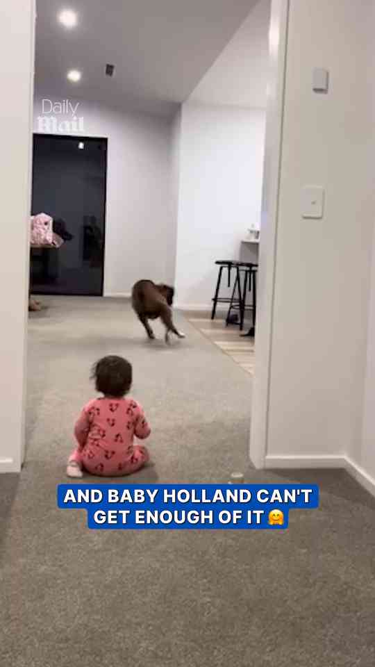 Baby bursts into laughter watching dog’s nonstop zoomies