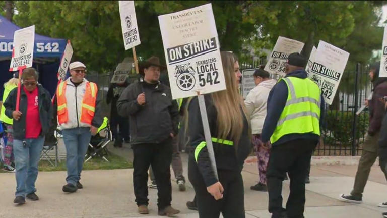 MTS minibus services disrupted by strike