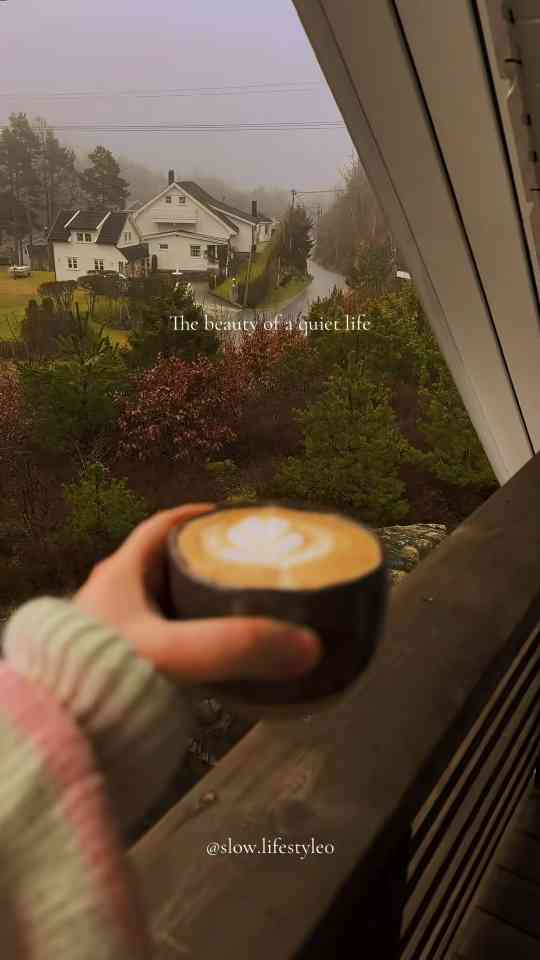 Quiet foggy morning coffee and nature therapy