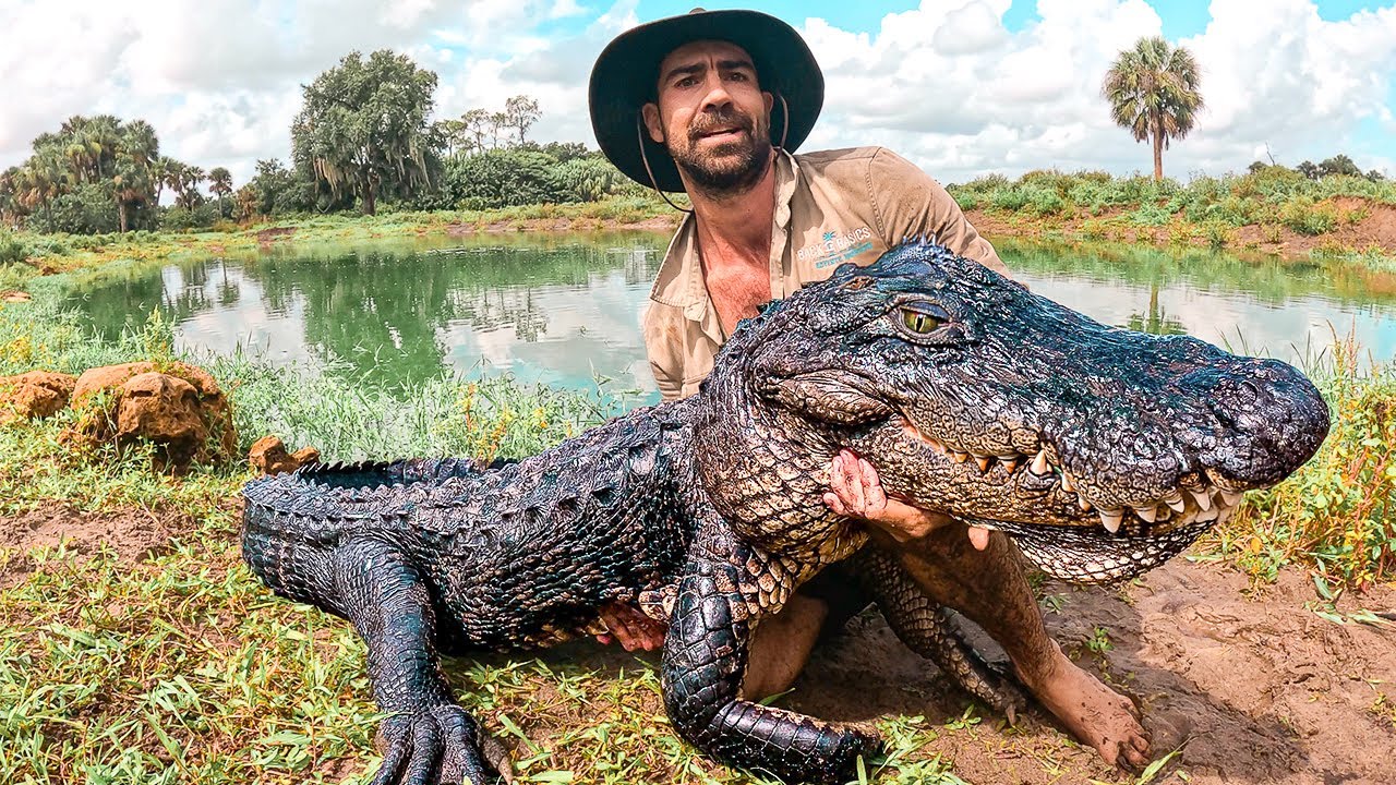 Alone in gator territory - and it escalated fast
