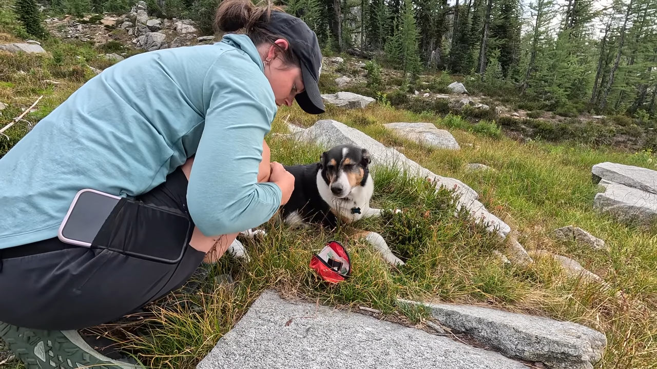 Woman camps alone in grizzly bear territory - and it doesn't end well ...