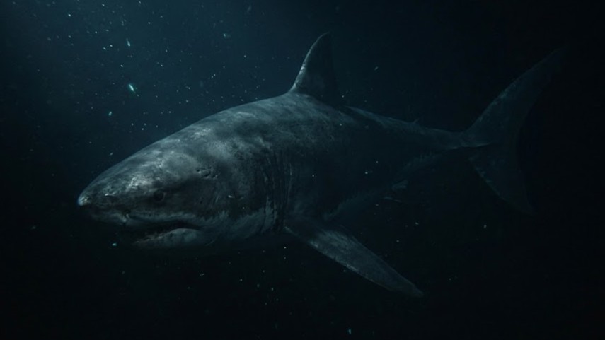 They reconstructed megalodon’s body - and the numbers are terrifying