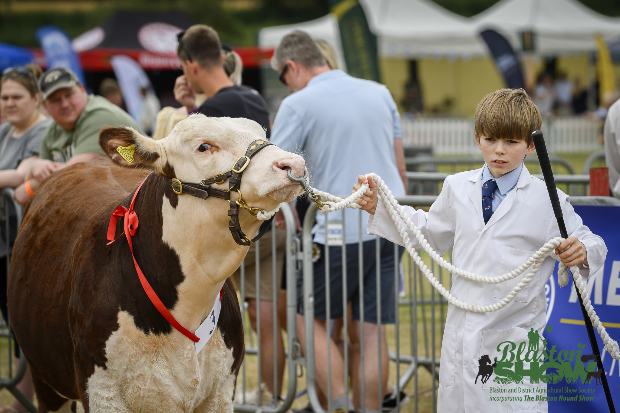 Blaston Show tickets now live with 15% early bird discount
