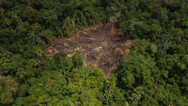 Experts warn Amazon rainforest is nearing a perilous 'tipping point ...