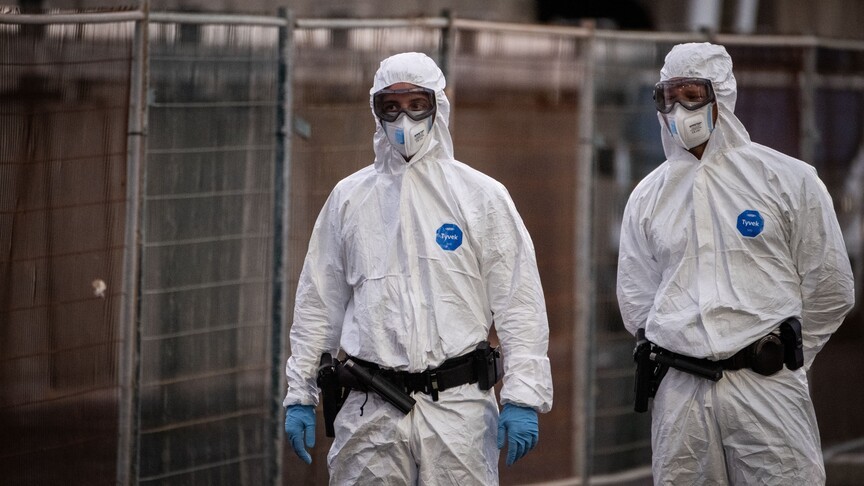 Việt Nam ứng phó với virus Hanta