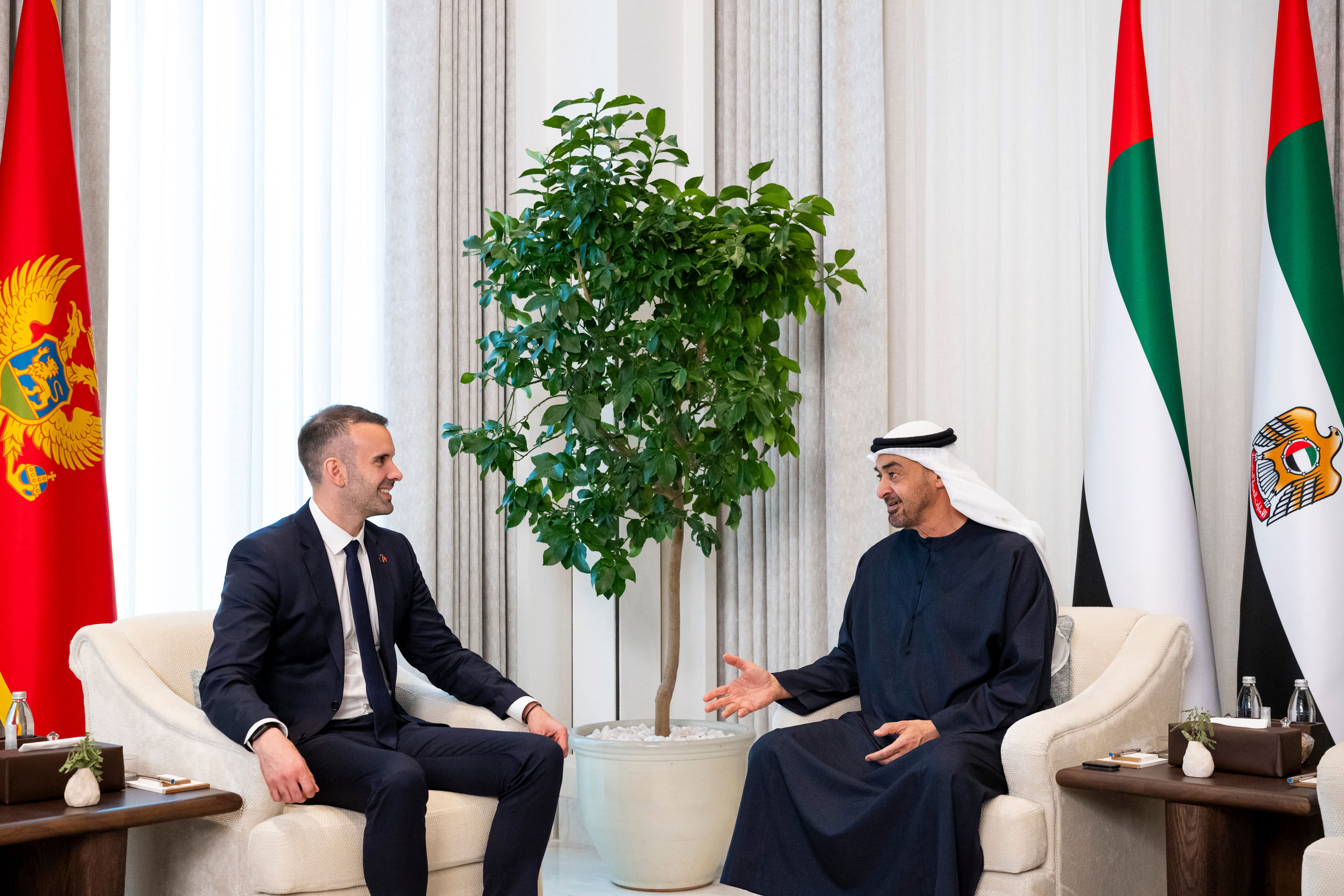 President Sheikh Mohamed and Montenegrin prime minister discuss Iranian ...