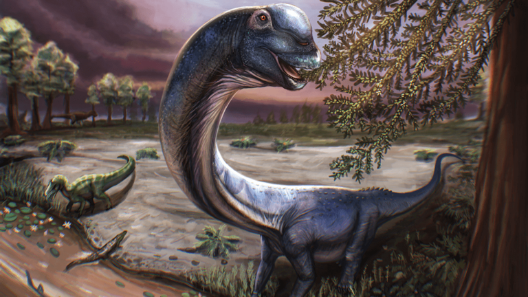 120-million-year-old sauropod becomes the largest dinosaur ever found ...