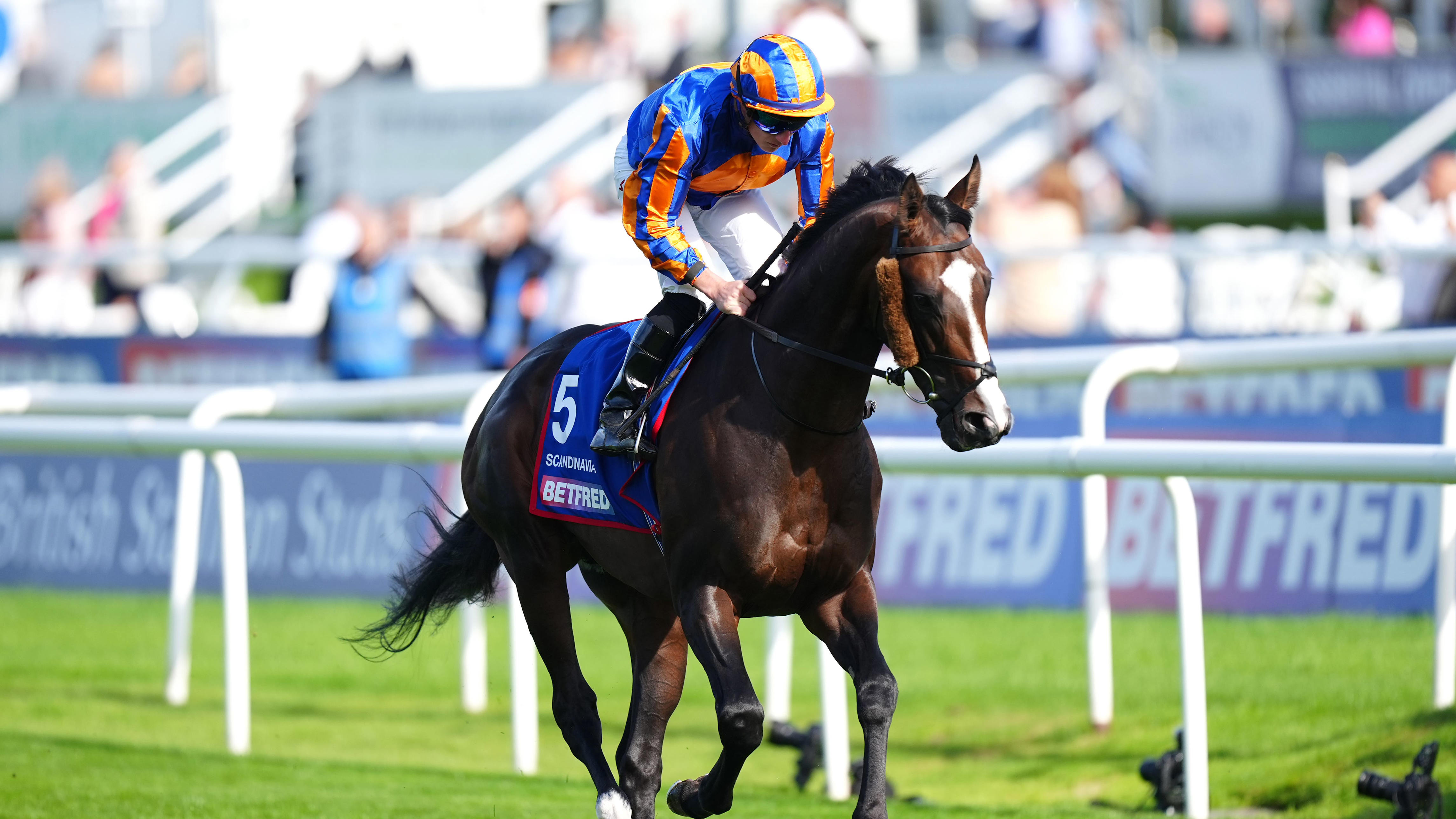 Scandinavia taking Saval Beg route to Royal Ascot