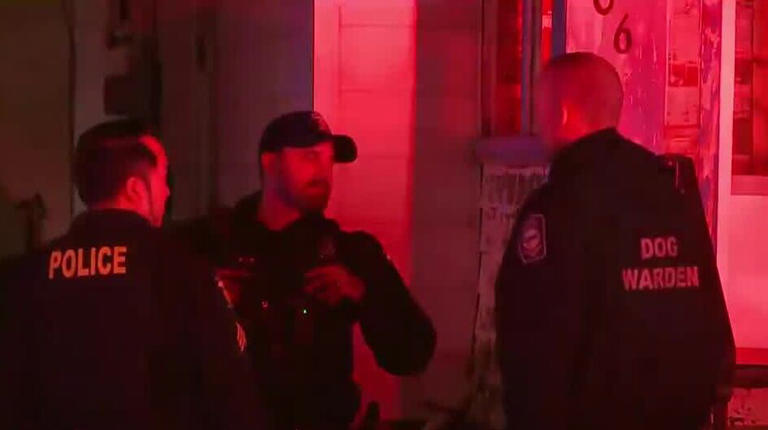 Three injured in pitbull attack, dog shot by police
