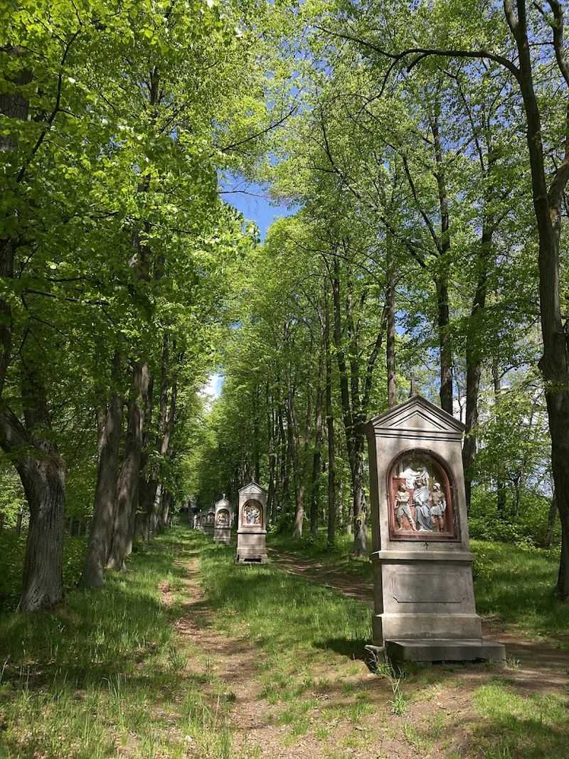 12 regions in Germany where tradition still shapes daily life