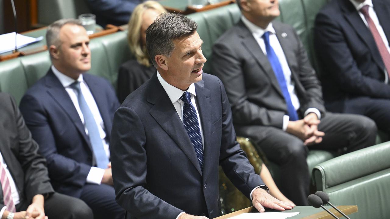 Pauline Hanson cut off in Senate responding to budget