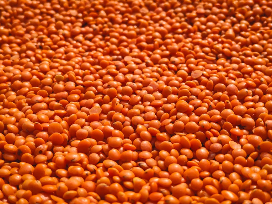 Why lentils are the secret ingredient to a heartier healthy soup
