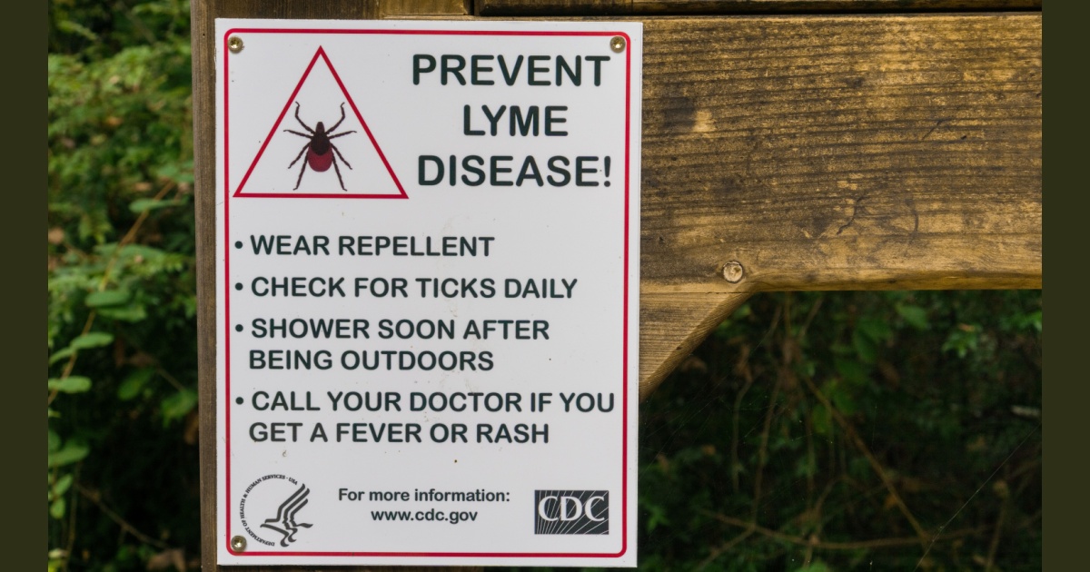CDC issues 2026 tick bite warning: What every American needs to know now