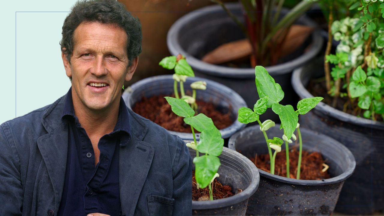 Monty Don says now is the time to harden off plants for spring, and ...