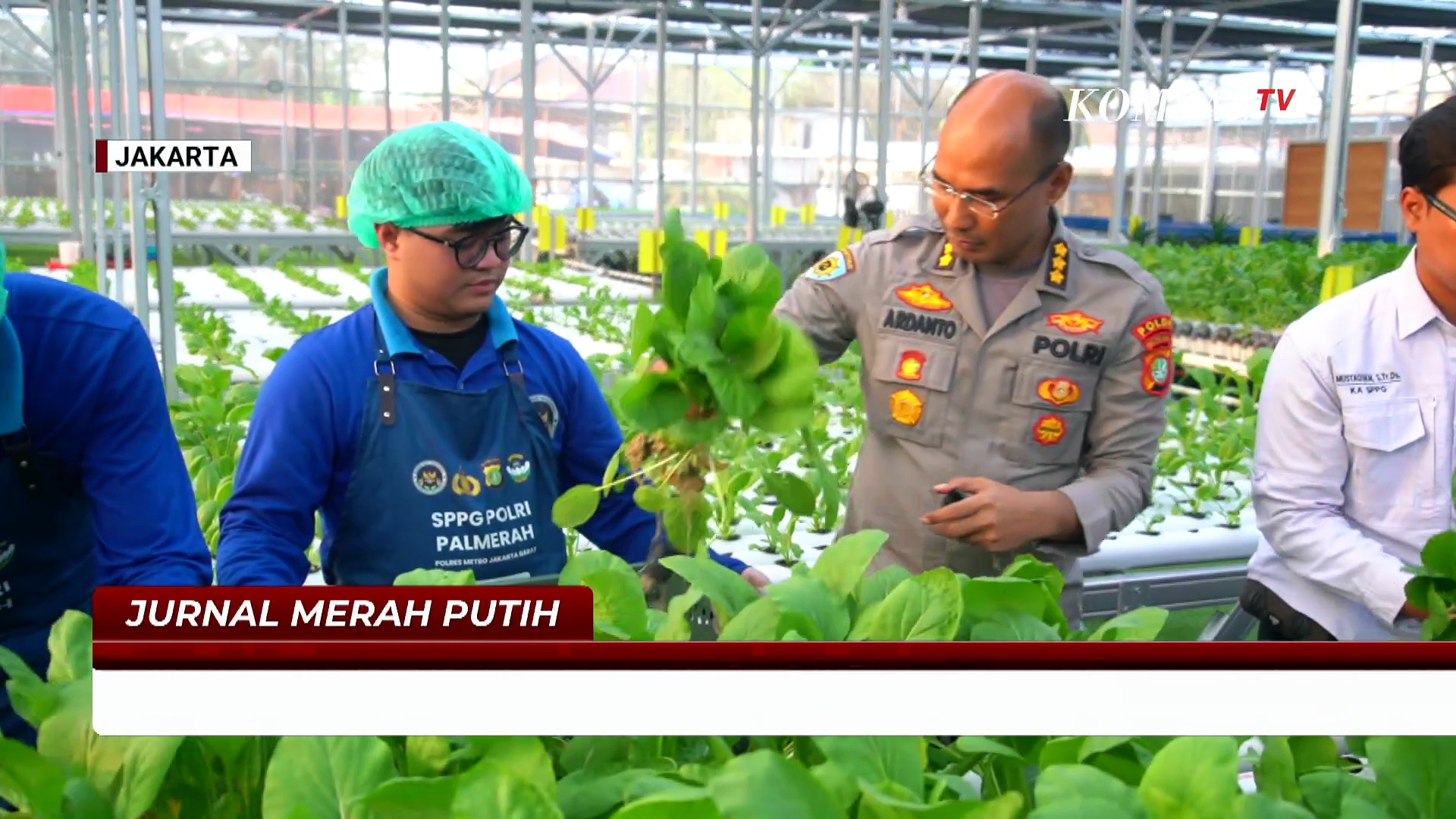 Pasok bahan baku menu bergizi, ini greenhouse SPPG Palmerah | JMP