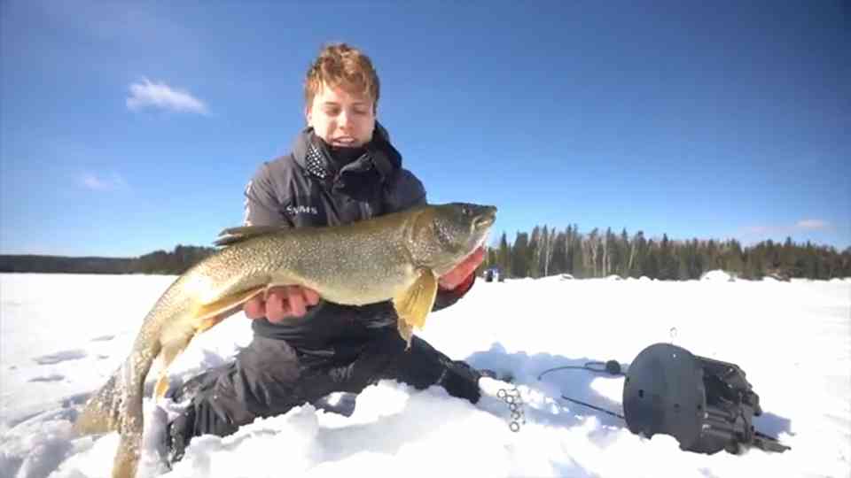 I caught the biggest trout of my life at an off-grid cabin