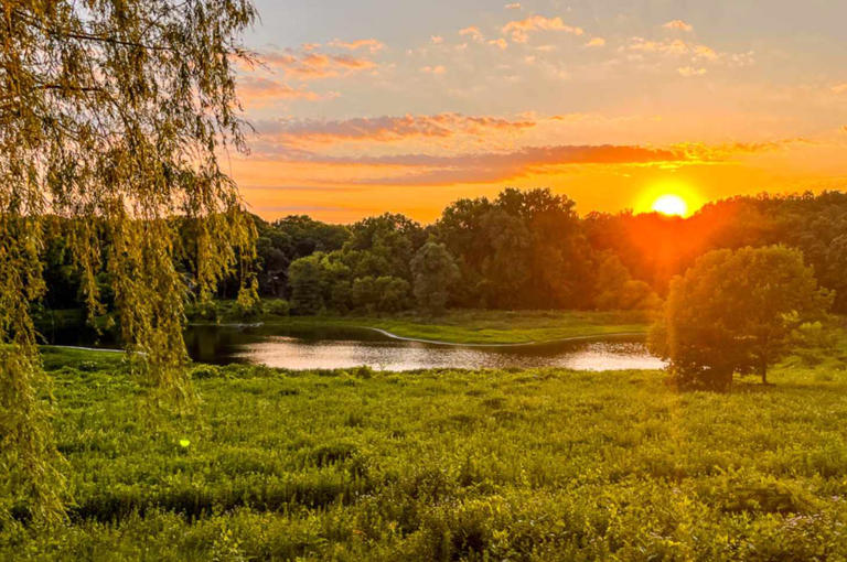 These Benedictine sisters turned their monastery's land into a 170-acre ...