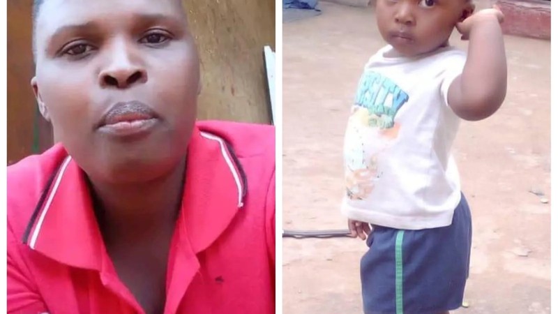 Family of mother, child killed in Motsoaledi crash reveals they were ...