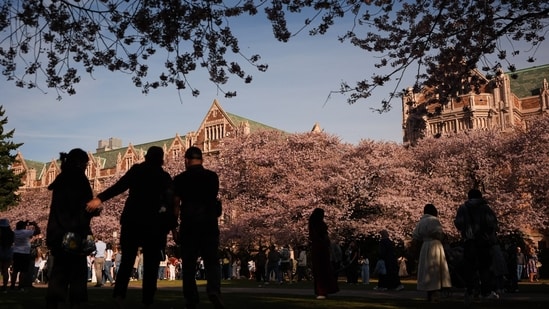 Who is Christopher Leahy? Suspect in fatal University of Washington ...
