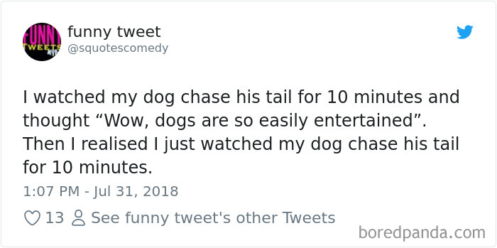 150 funny dog tweets every dog owner should see ASAP