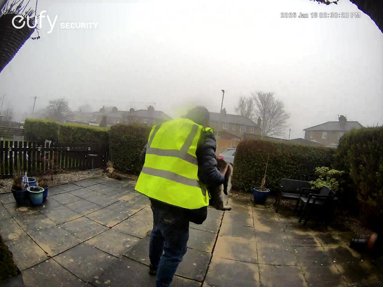 Amazon delivery driver caught stealing family cat is spared prison