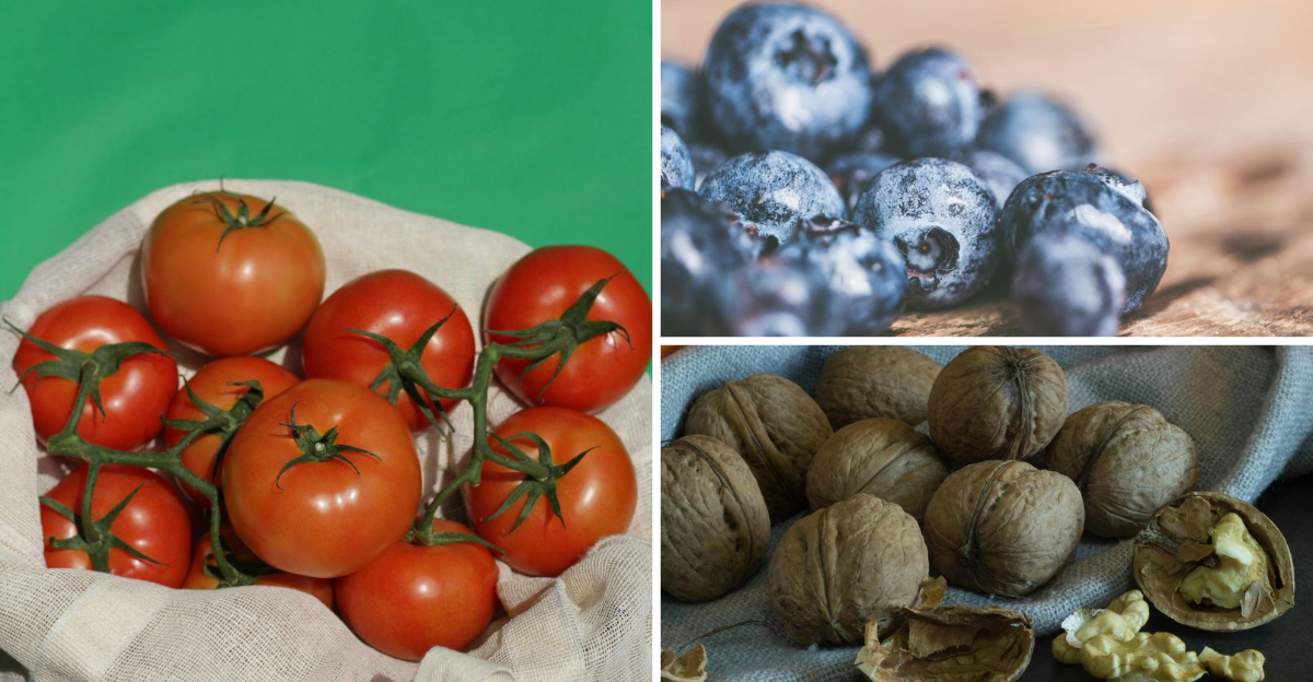 20 brain-boosting foods experts say may support focus and memory as you ...