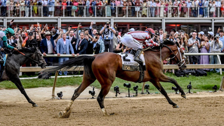 Napoleon Solo profile: 2026 Preakness Stakes odds, post position ...