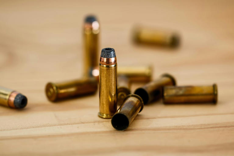 Why the .357 Magnum is still the caliber that experienced shooters ...