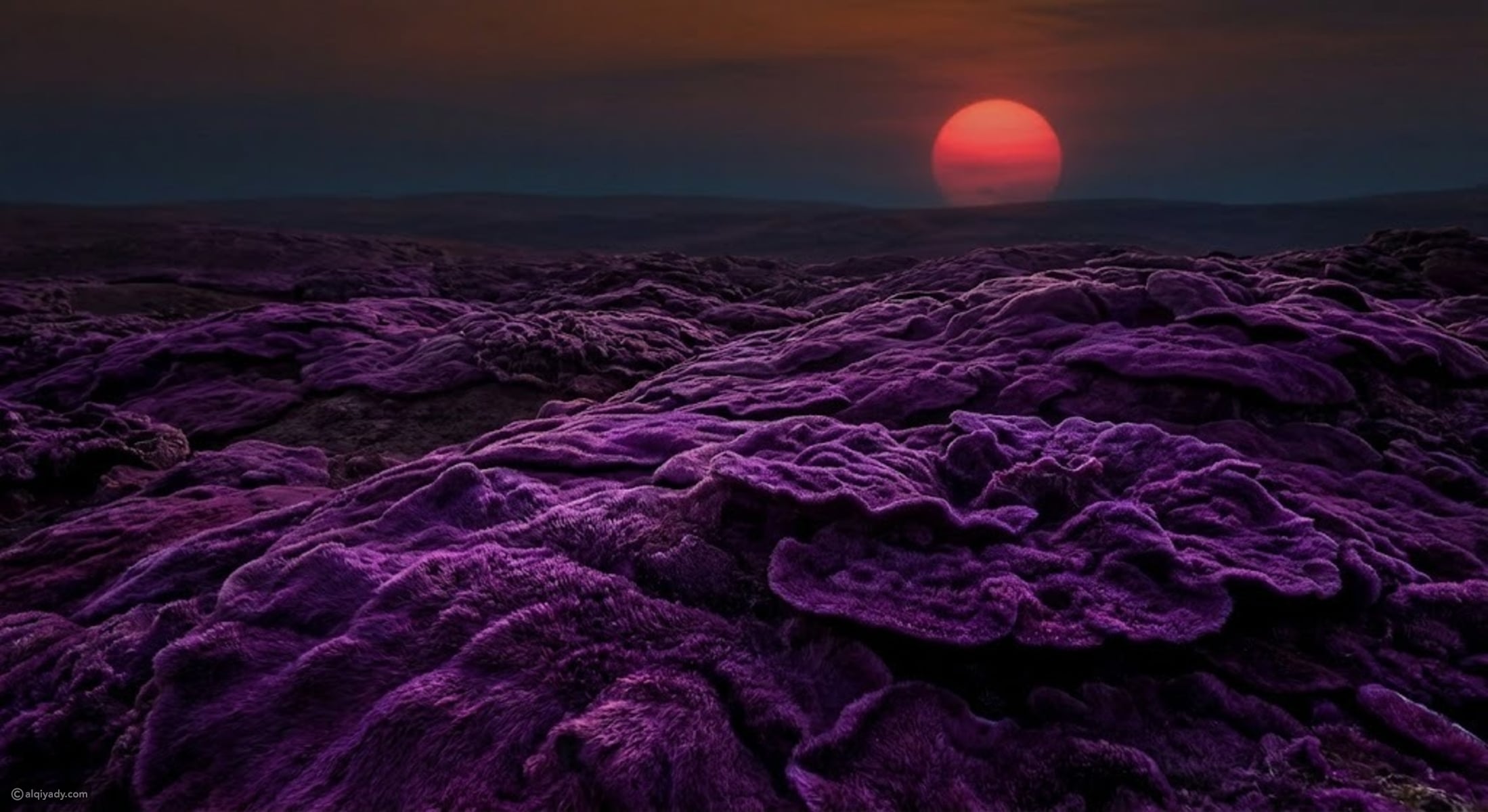 Aliens are not green men — science has a different view