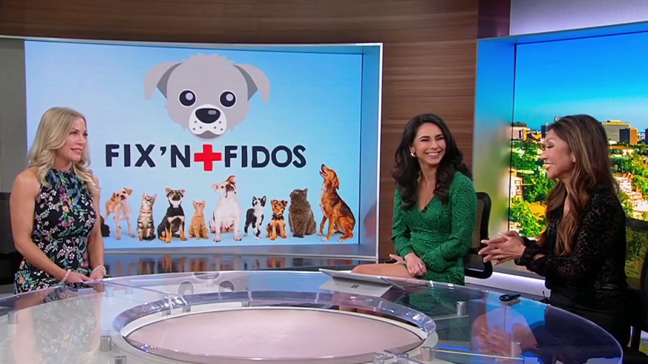 Kacey Montoya's Fix'n' Fidos helps local pets in need