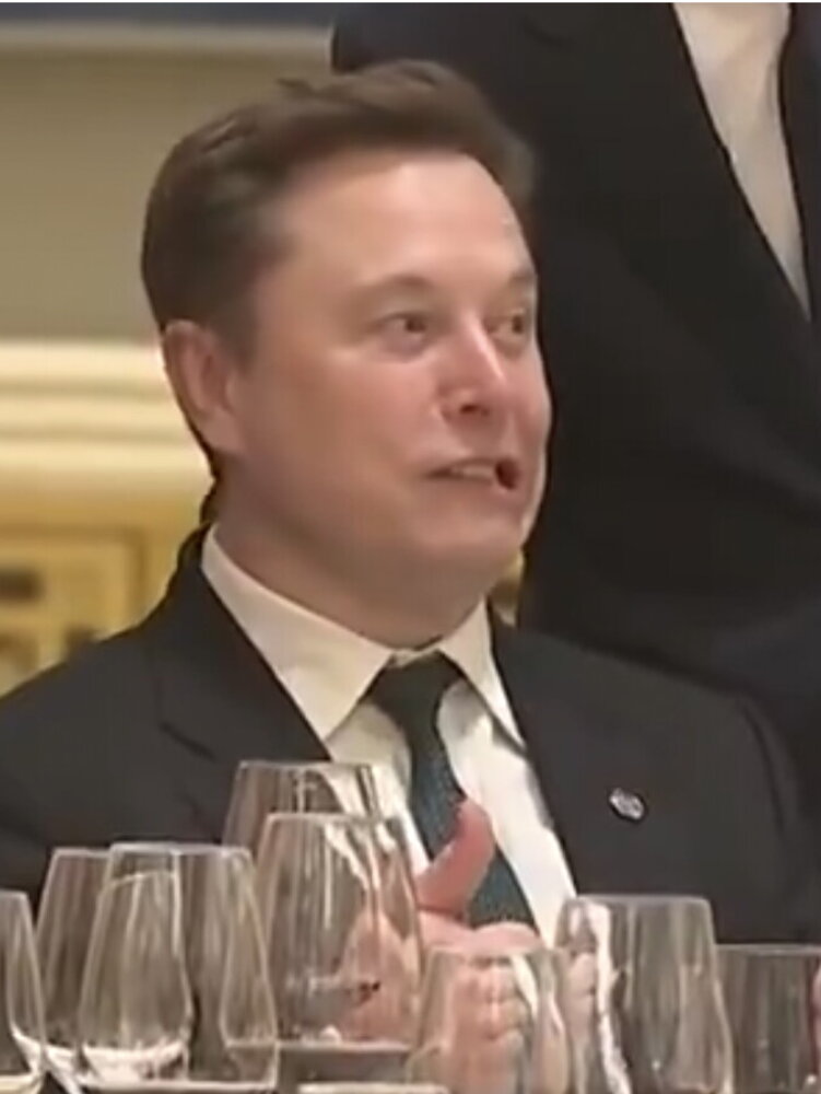 Musk posa con Cook per i fotografi e fa le smorfie