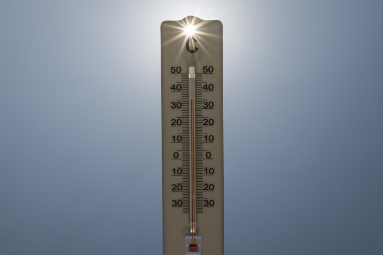 Cientistas alertam FIFA sobre risco de calor extremo na Copa do Mundo ...