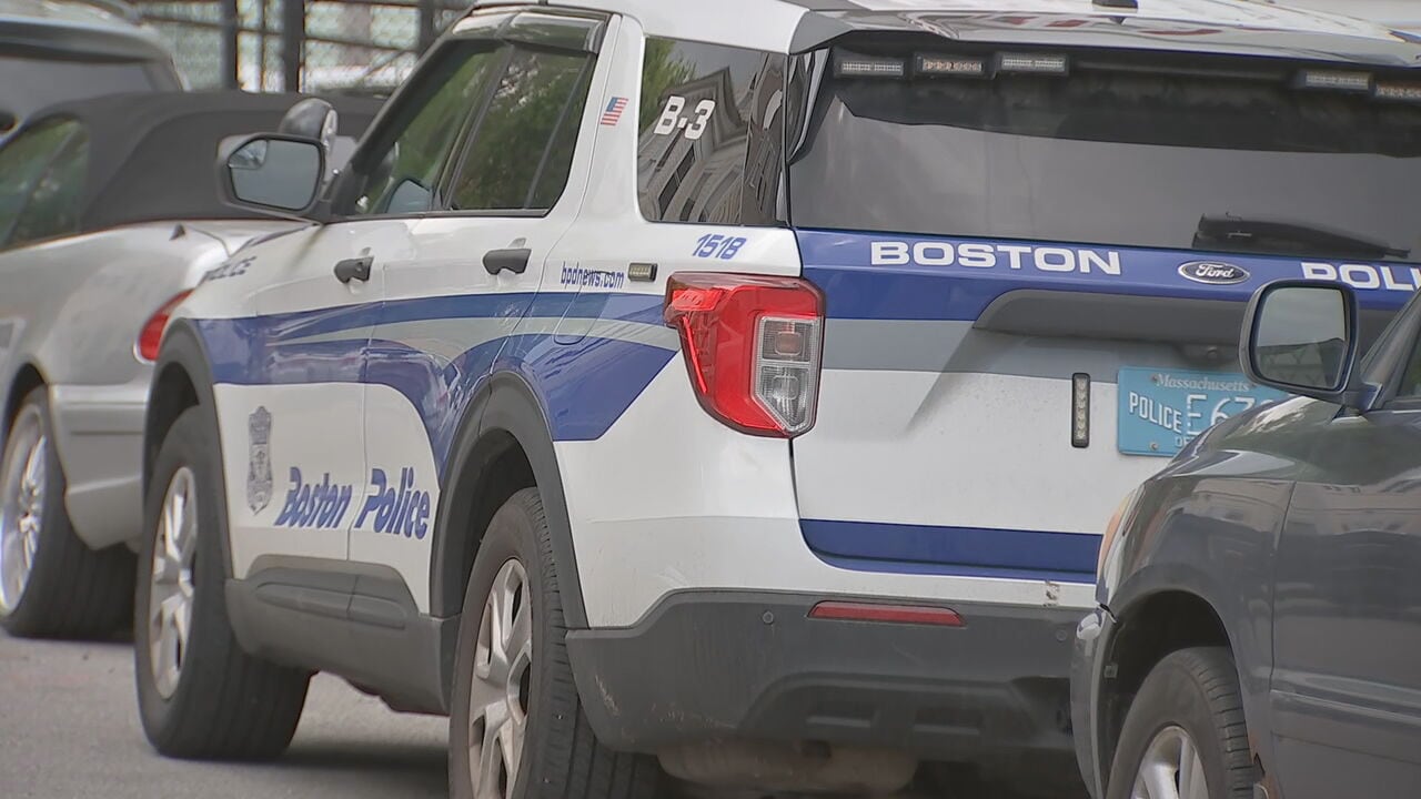 Several people arrested after alleged violent encounter with police ...
