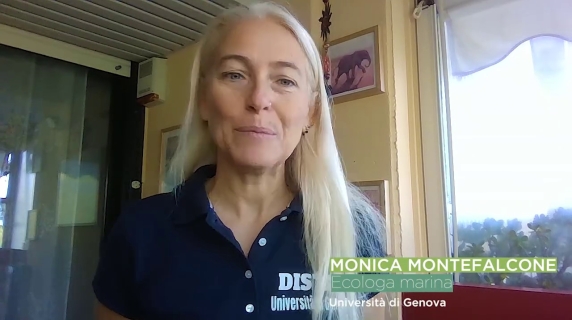 Quando Monica Montefalcone spiegava il perché del monitoraggio costante ...