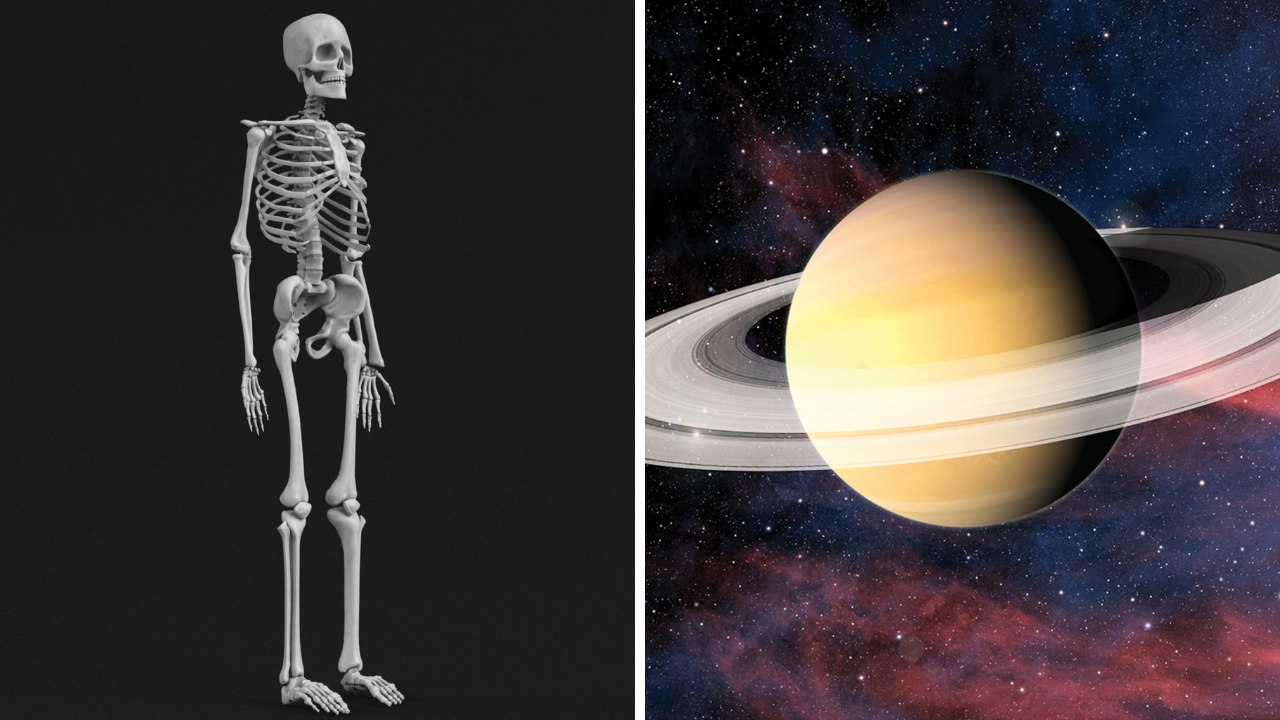 29 scientific discoveries that are genuinely hard to believe